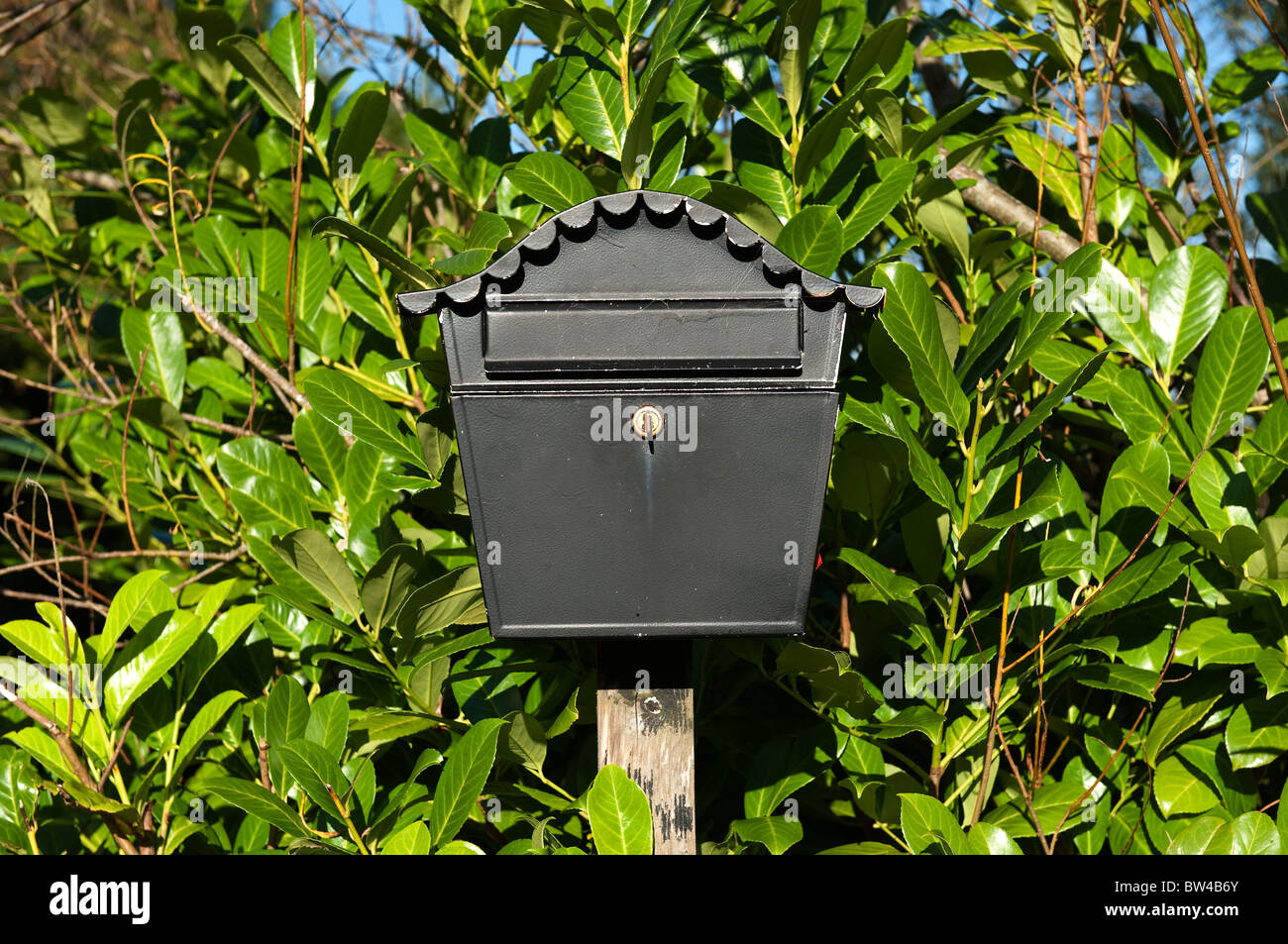 Black post box with key and green leaves Stock Photo - Alamy