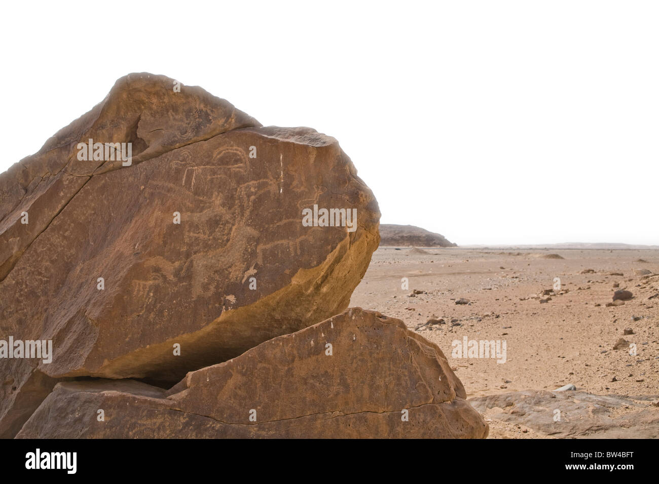 Images of animals scratched on rocks in a dry wadi bed in the Eastern ...