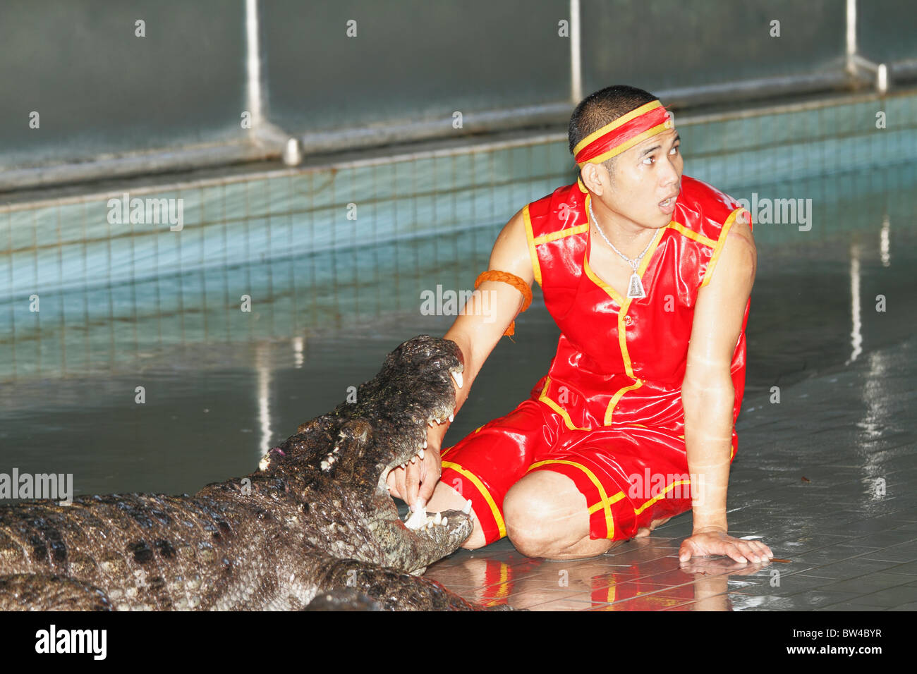 Alligator wrestling hi-res stock photography and images - Alamy