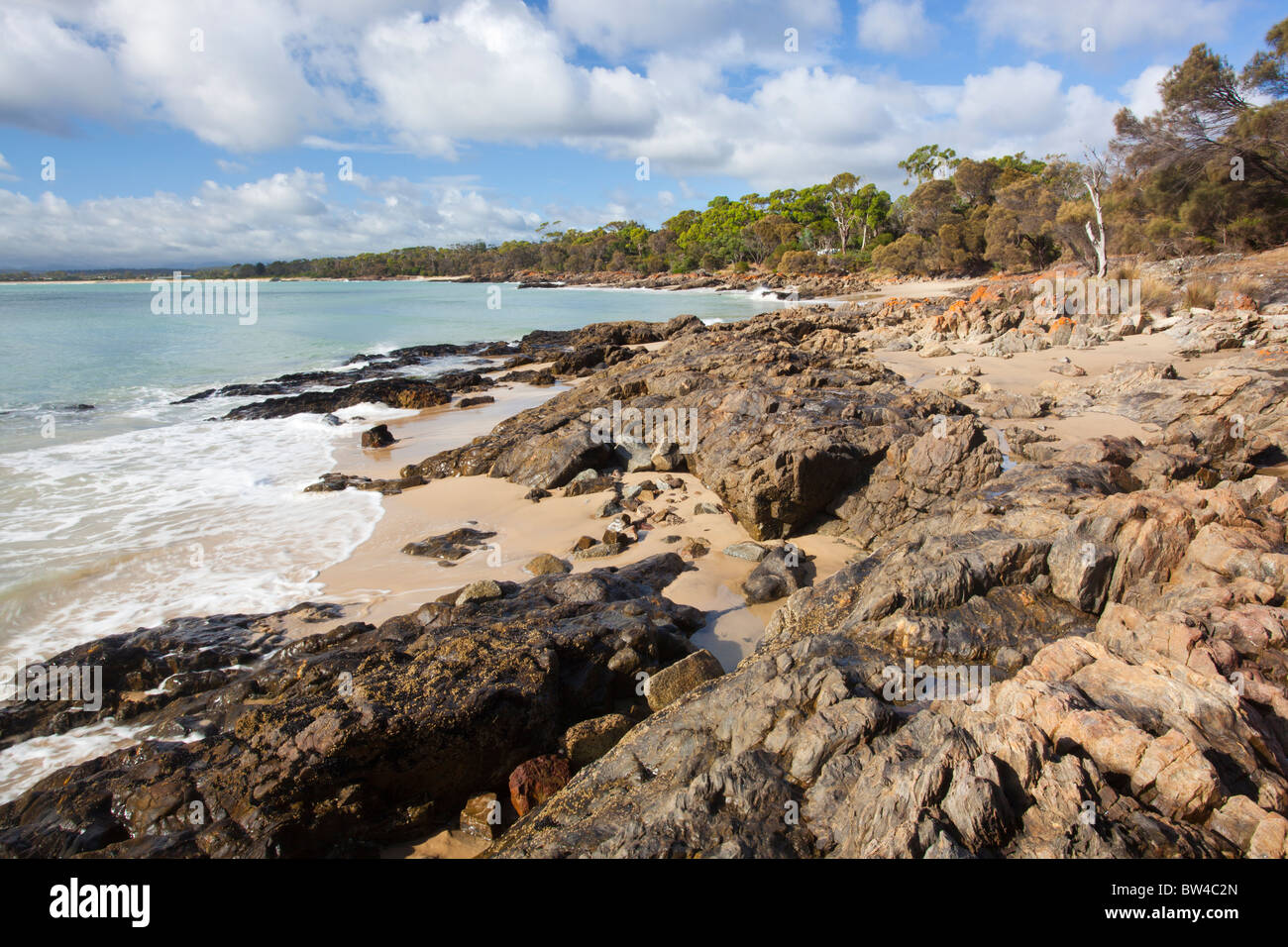 Orange lichen on coastal rocks hi-res stock photography and images - Alamy