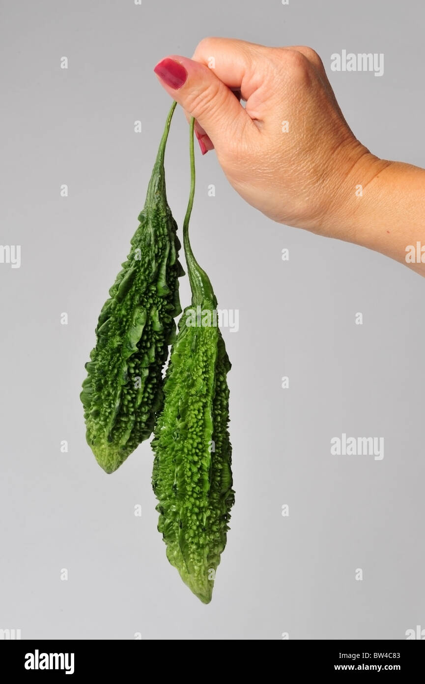 Indian Bitter Mellon Stock Photo - Alamy