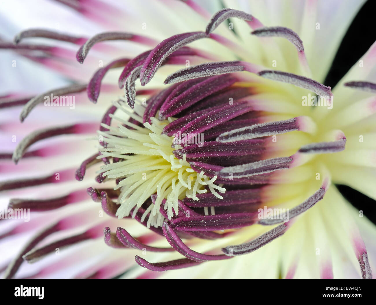 Moser island hi-res stock photography and images - Alamy