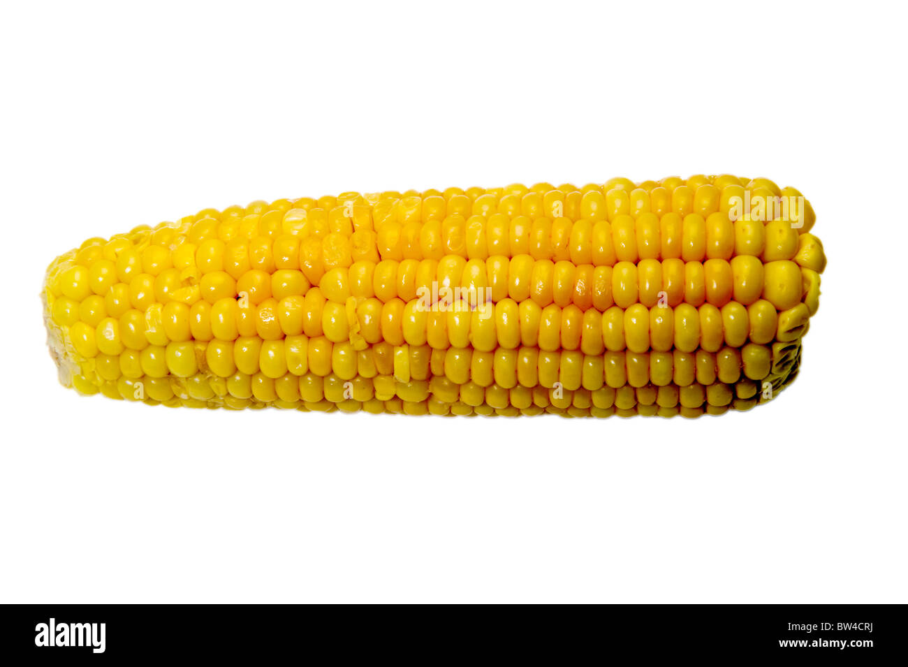 Golden field of corn Cut Out Stock Images & Pictures - Alamy