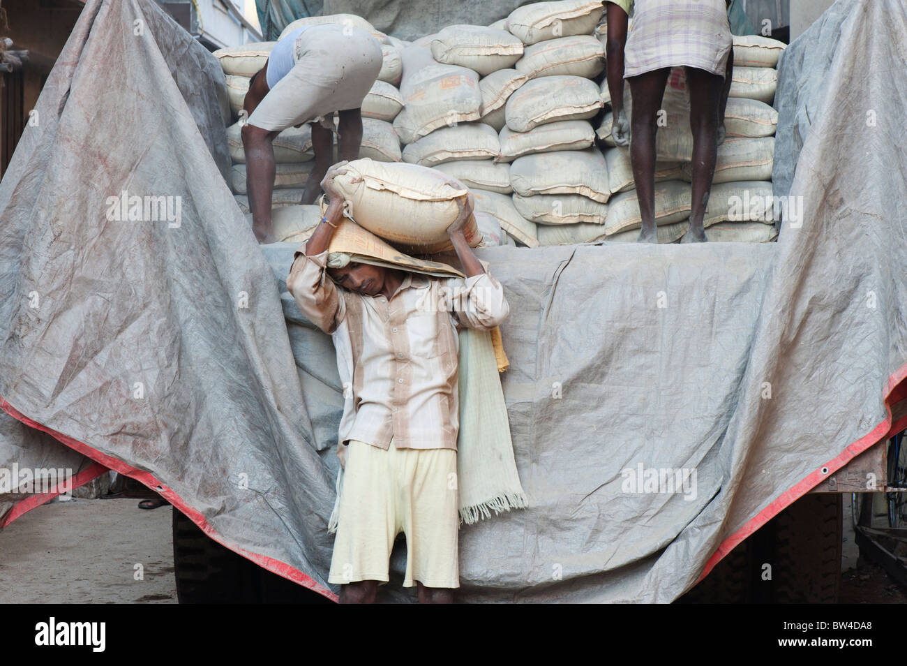 Indian men offloading bags of cement from a lorry to construction ...