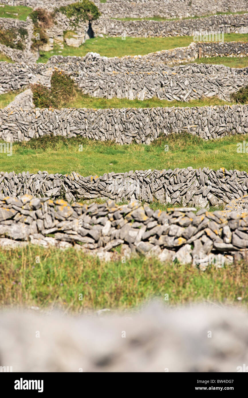 Grass fields and dry stone walls on Inis Meain, Aran Islands, County ...