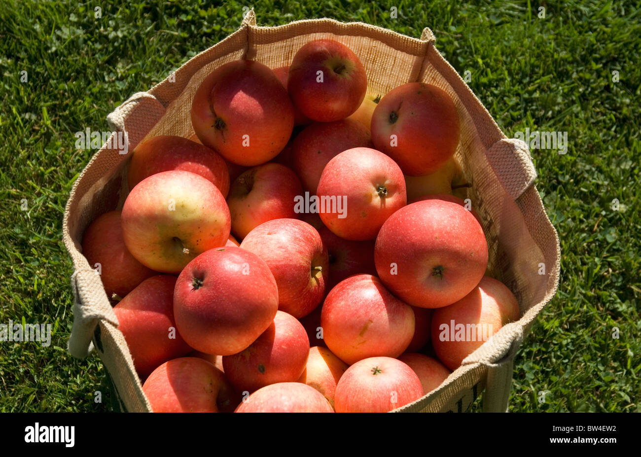 Beauty of bath hi-res stock photography and images - Alamy