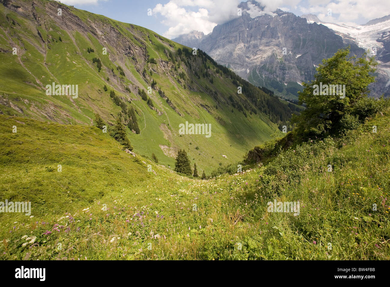 Bort hi-res stock photography and images - Alamy