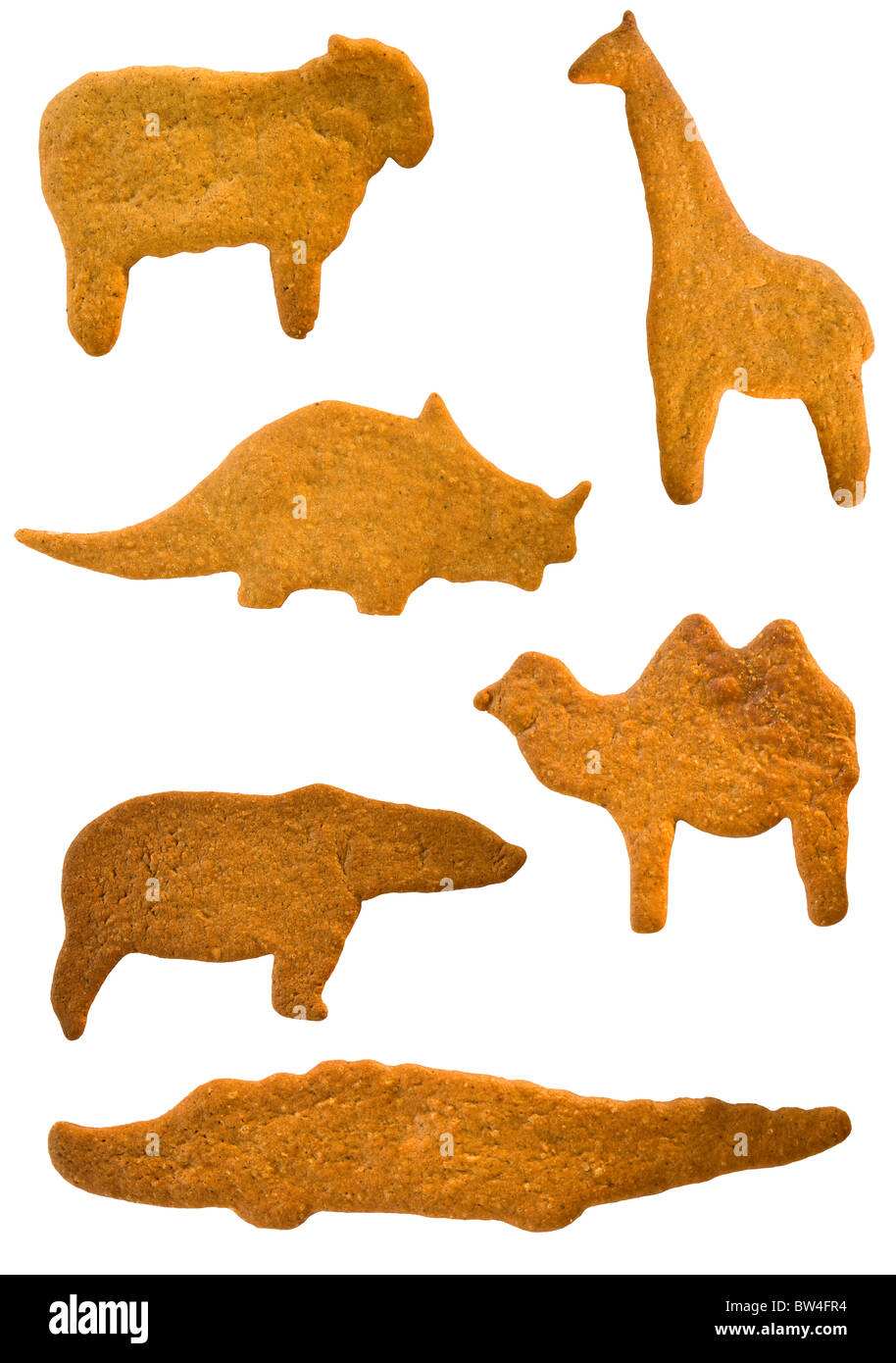 Six homemade gingerbread cookies shaped like animals, isolated on white ...