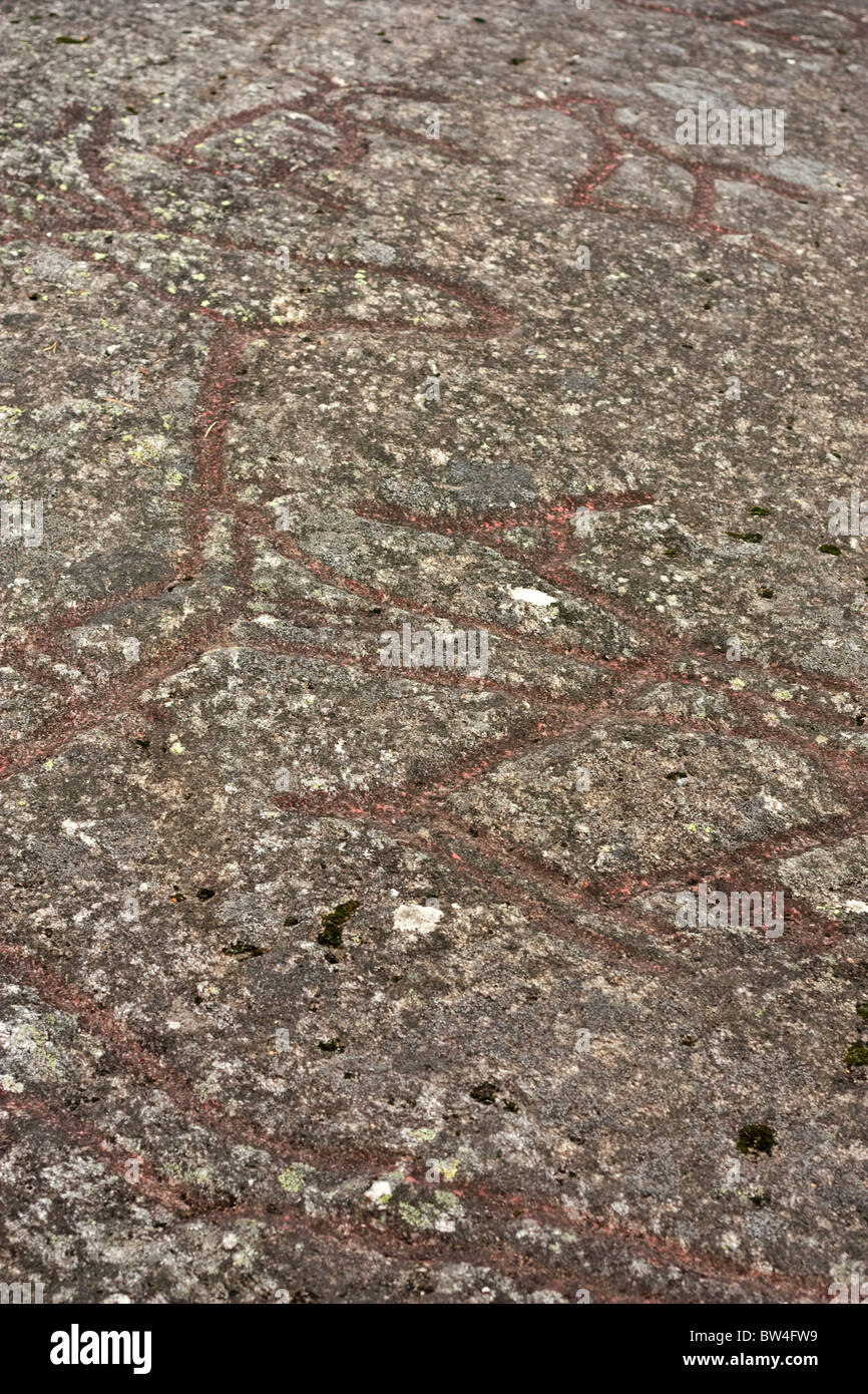 6000 years old petroglyphs from Boggestranda in Norway, showing moose ...