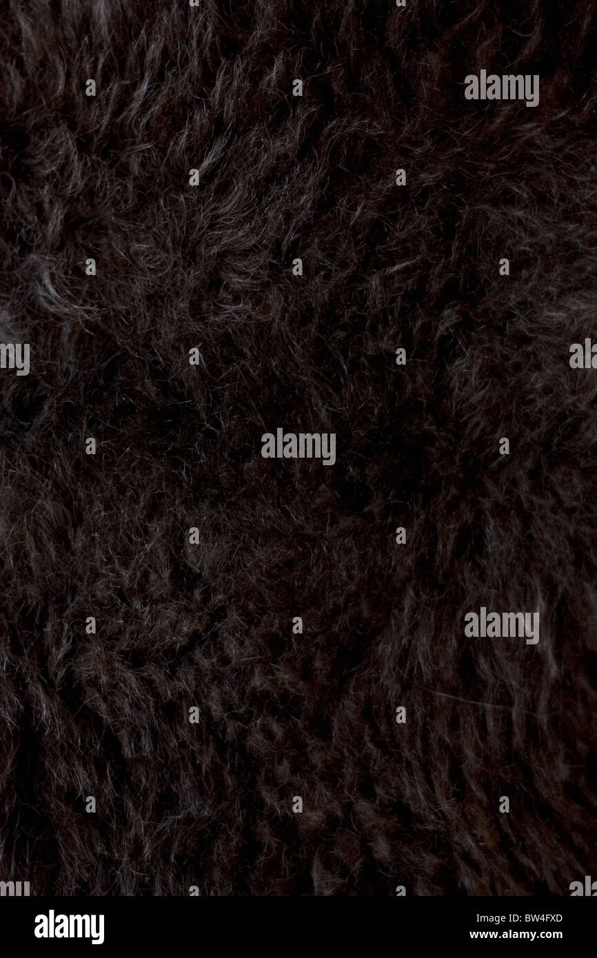 Dark brown and black wool background or texture Stock Photo - Alamy