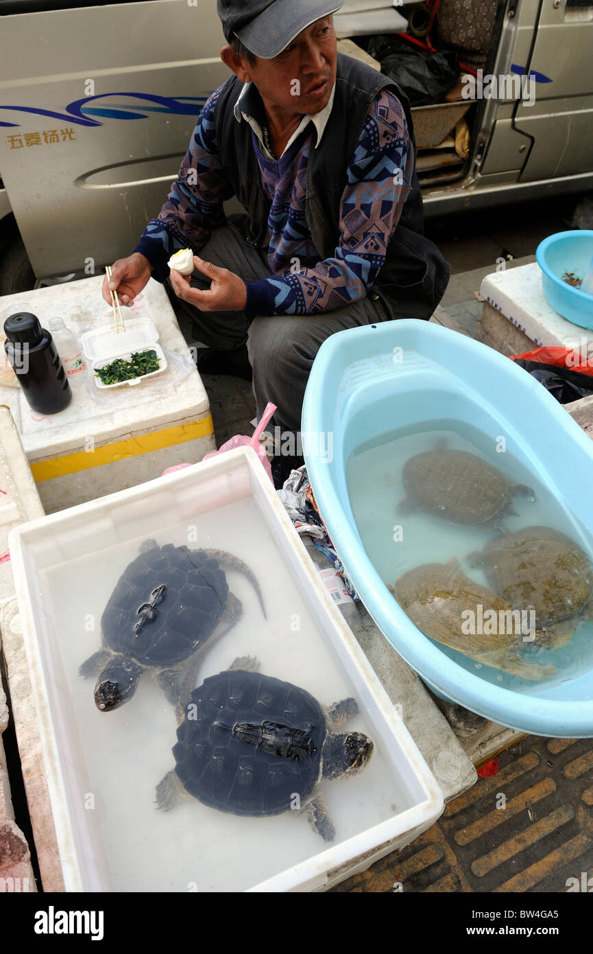 Market turtles hi-res stock photography and images - Alamy