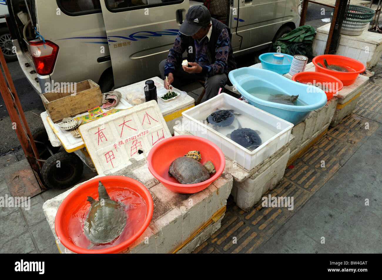 A man sells turtles in Qingdao, Shandong province, China. 12-Nov-2010 ...