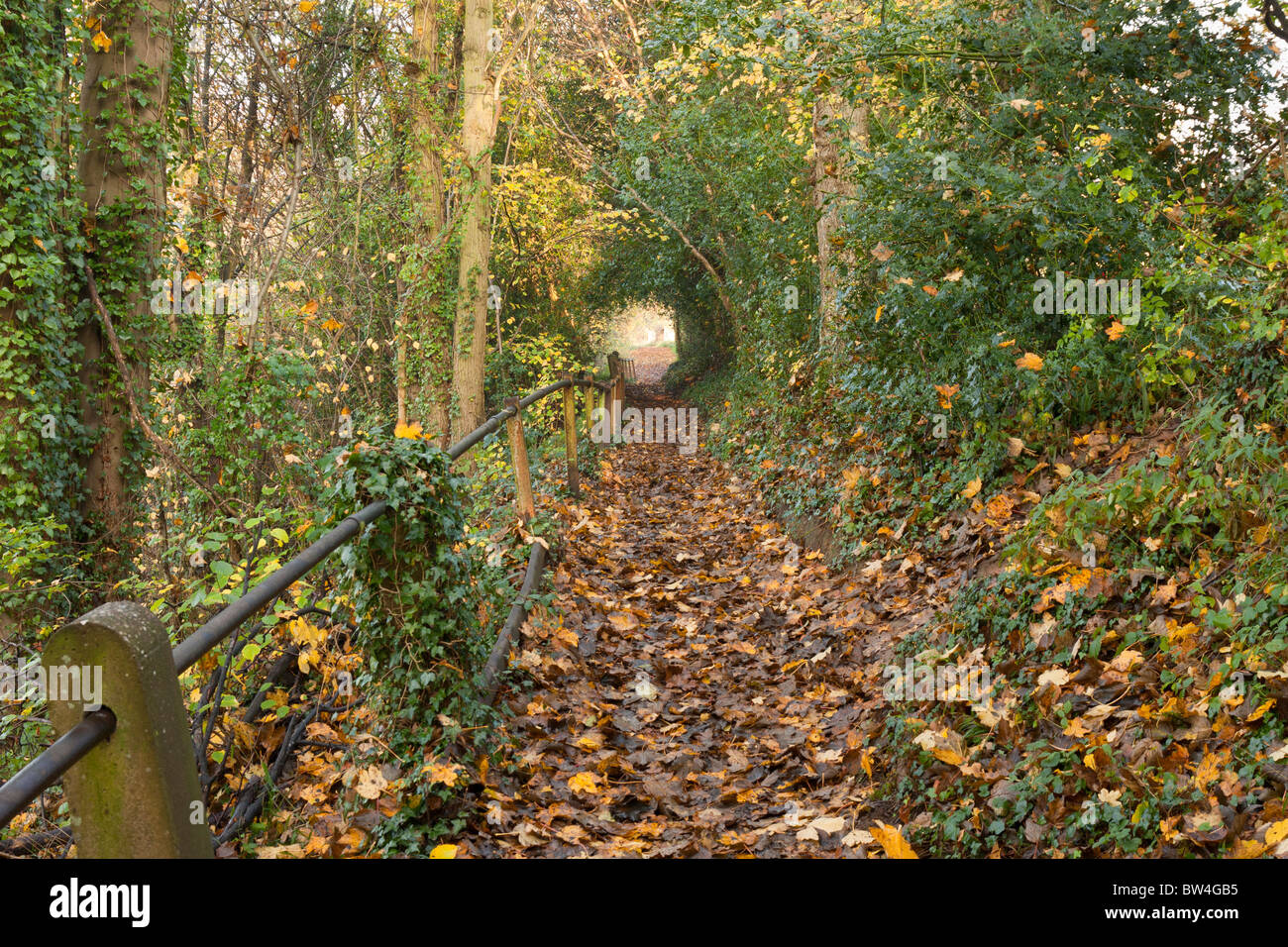 Severn way footpath hi-res stock photography and images - Alamy