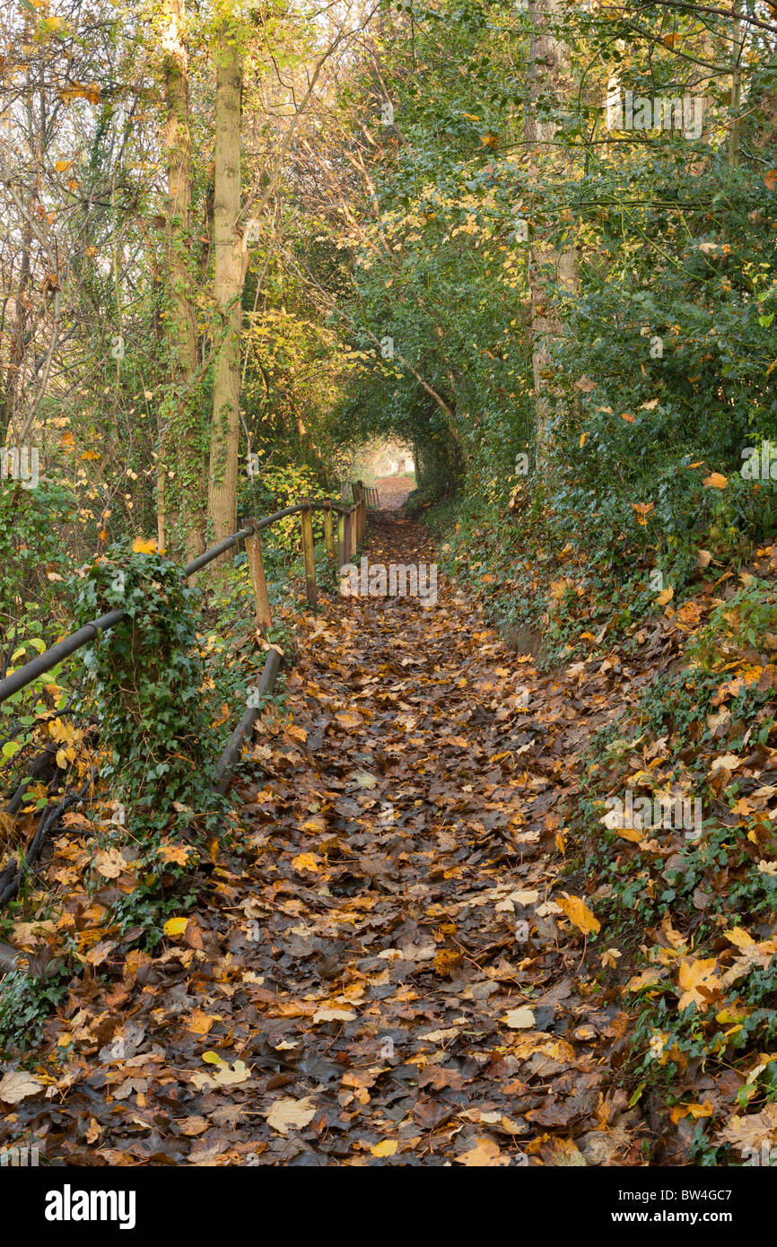 Leaf covered [public footpath] Stock Photo - Alamy