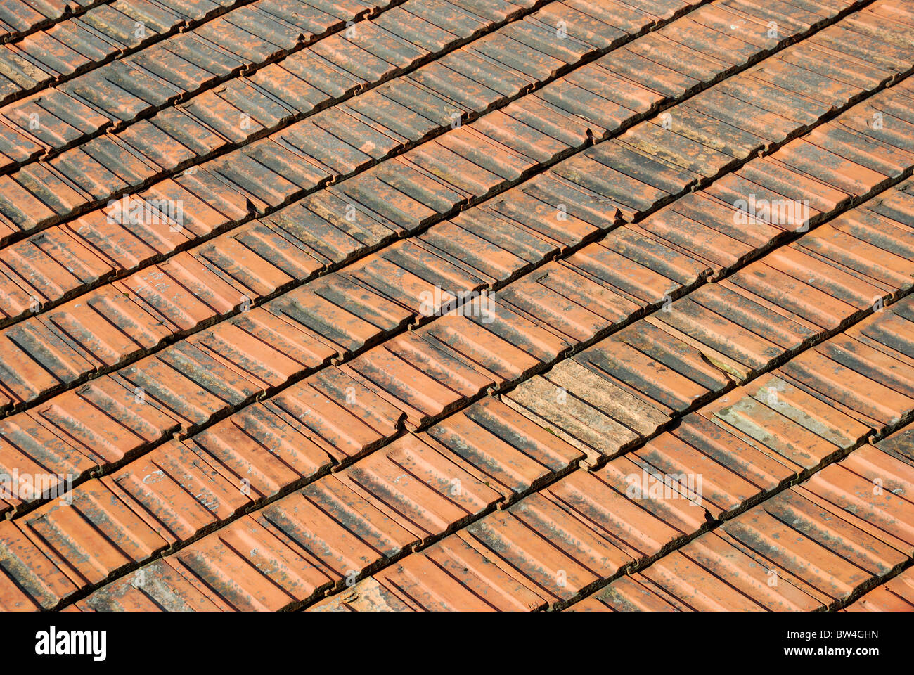 Red roof tiles Stock Photo - Alamy