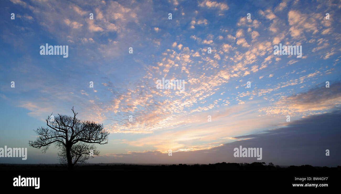 Pink clouds at dawn hi-res stock photography and images - Alamy