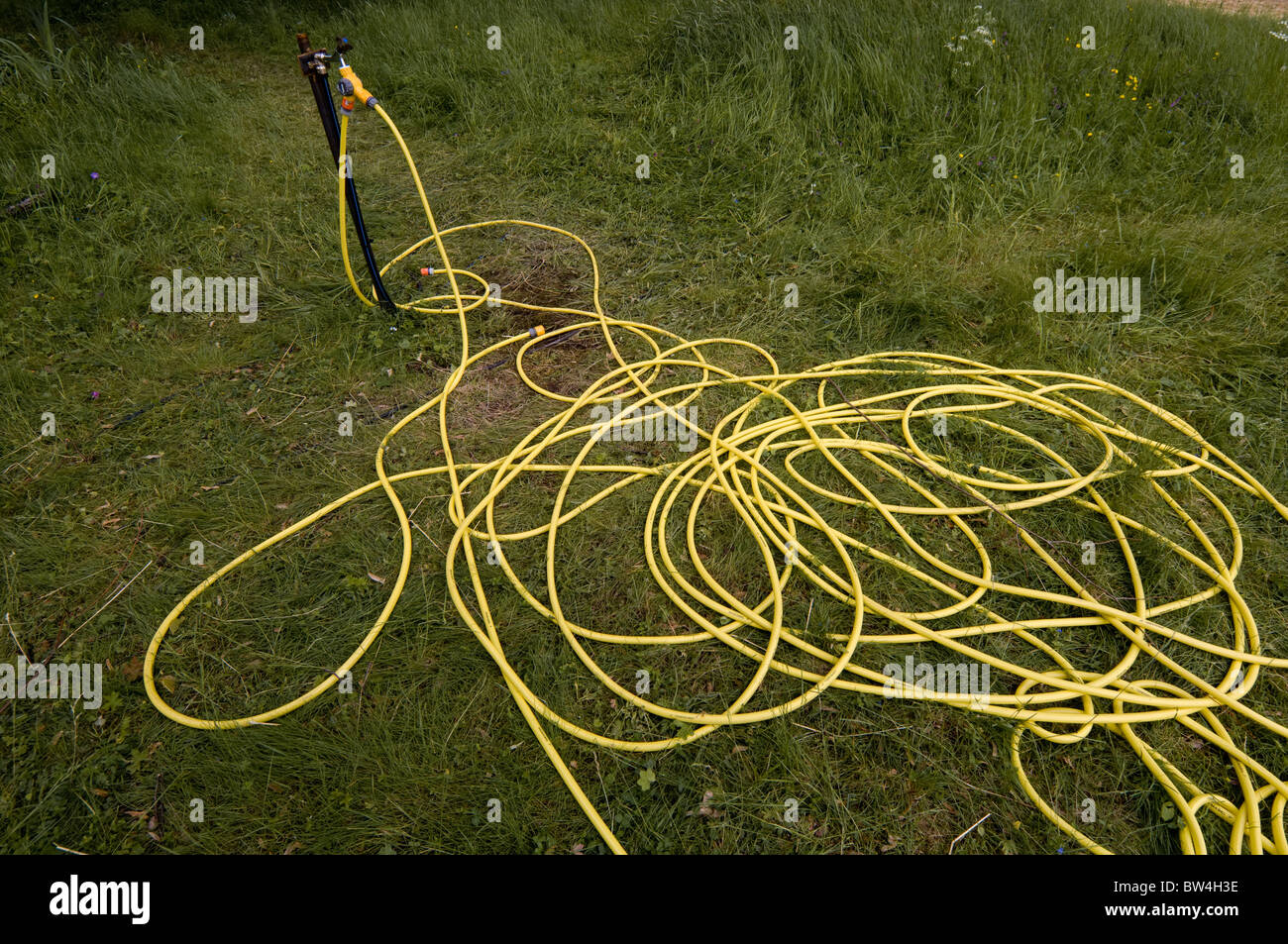 Yellow garden hose Stock Photo - Alamy