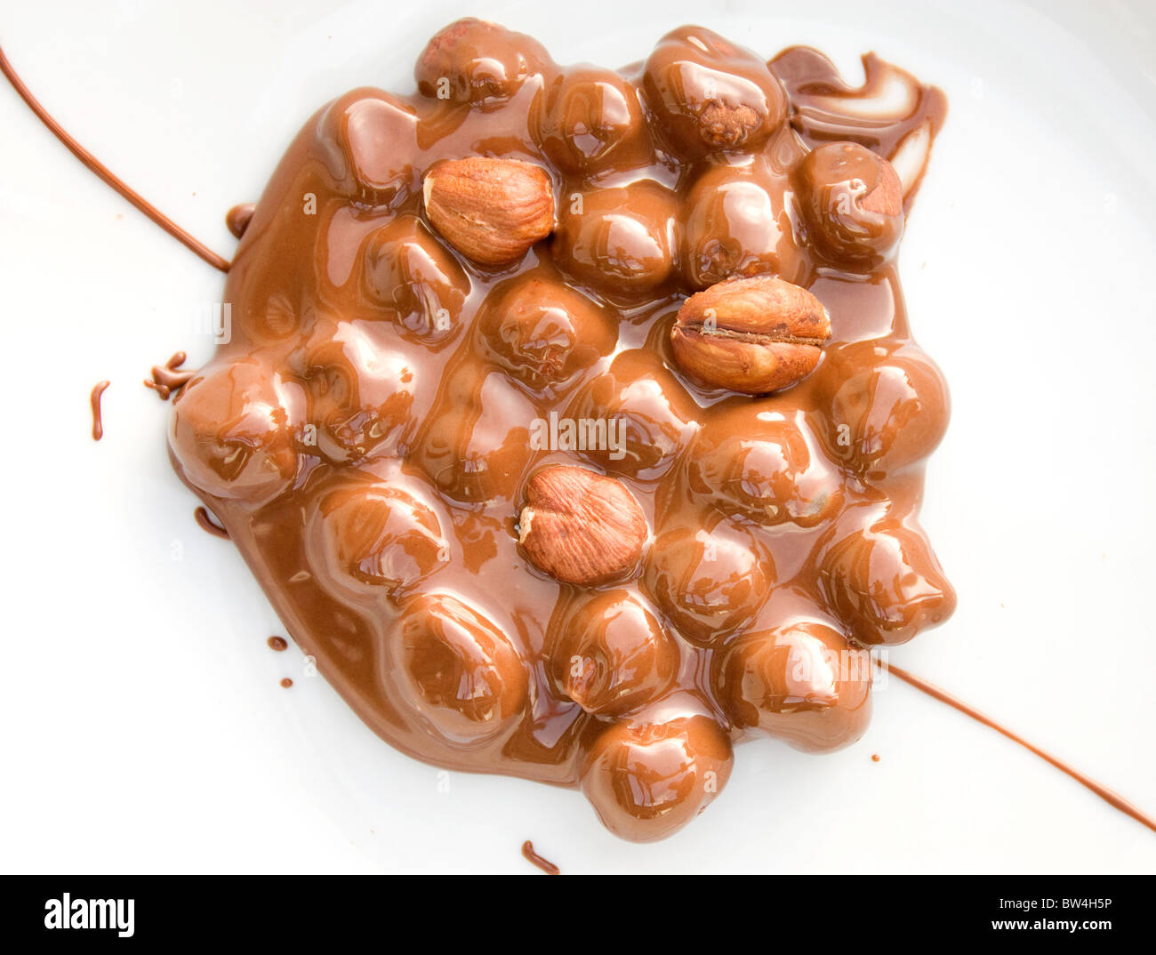 Chocolate covered hazelnuts Stock Photo - Alamy
