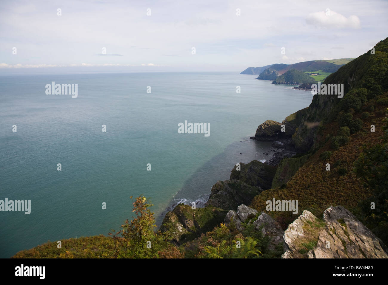 South West Coast Path, Tarka Trail, Devon Stock Photo - Alamy