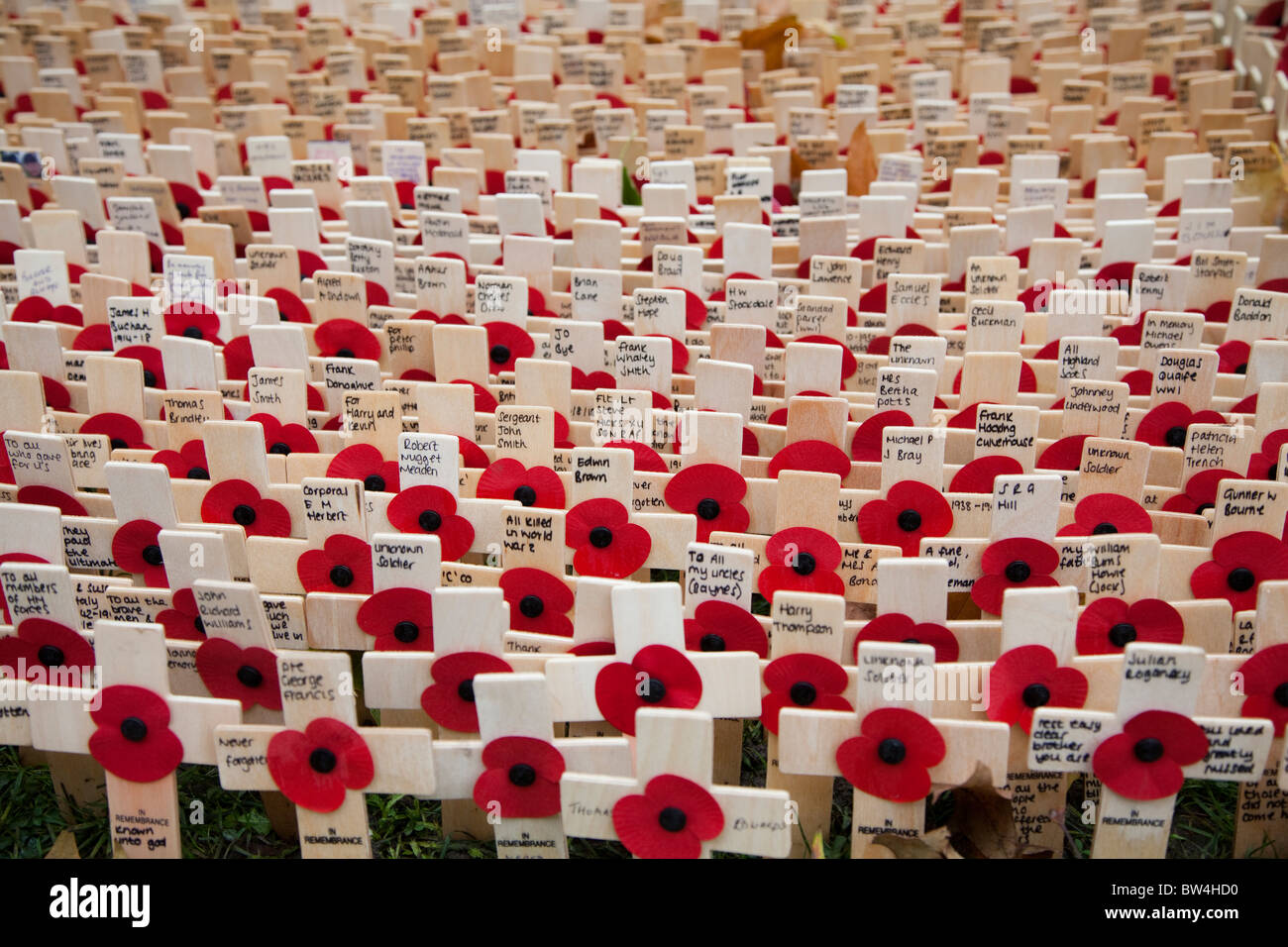 Poppies at westminster abbey hi-res stock photography and images - Alamy