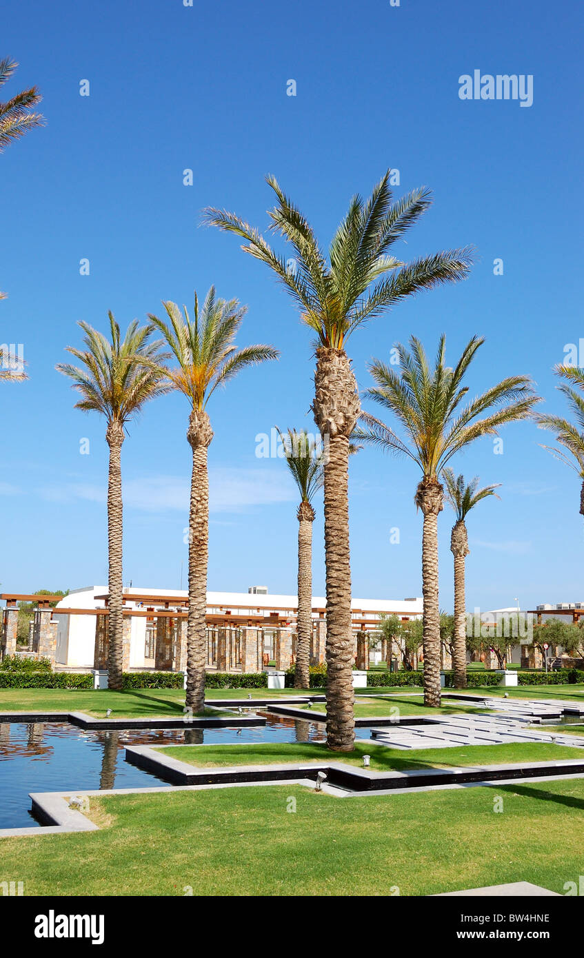 Palm trees at hotel entrance, Crete, Greece Stock Photo - Alamy