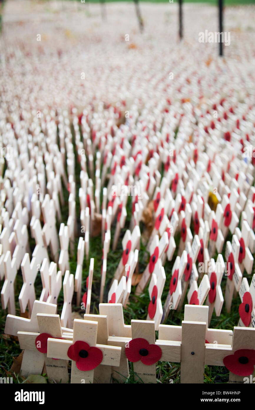 Poppies and crosses, Field of Remembrance, Westminster Abbey, London ...