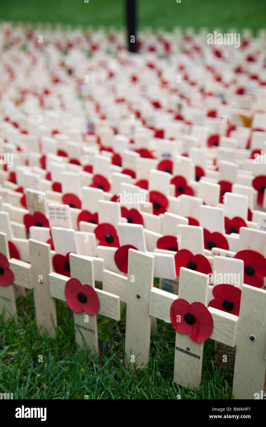 Poppies and crosses, Field of Remembrance, Westminster Abbey, London ...