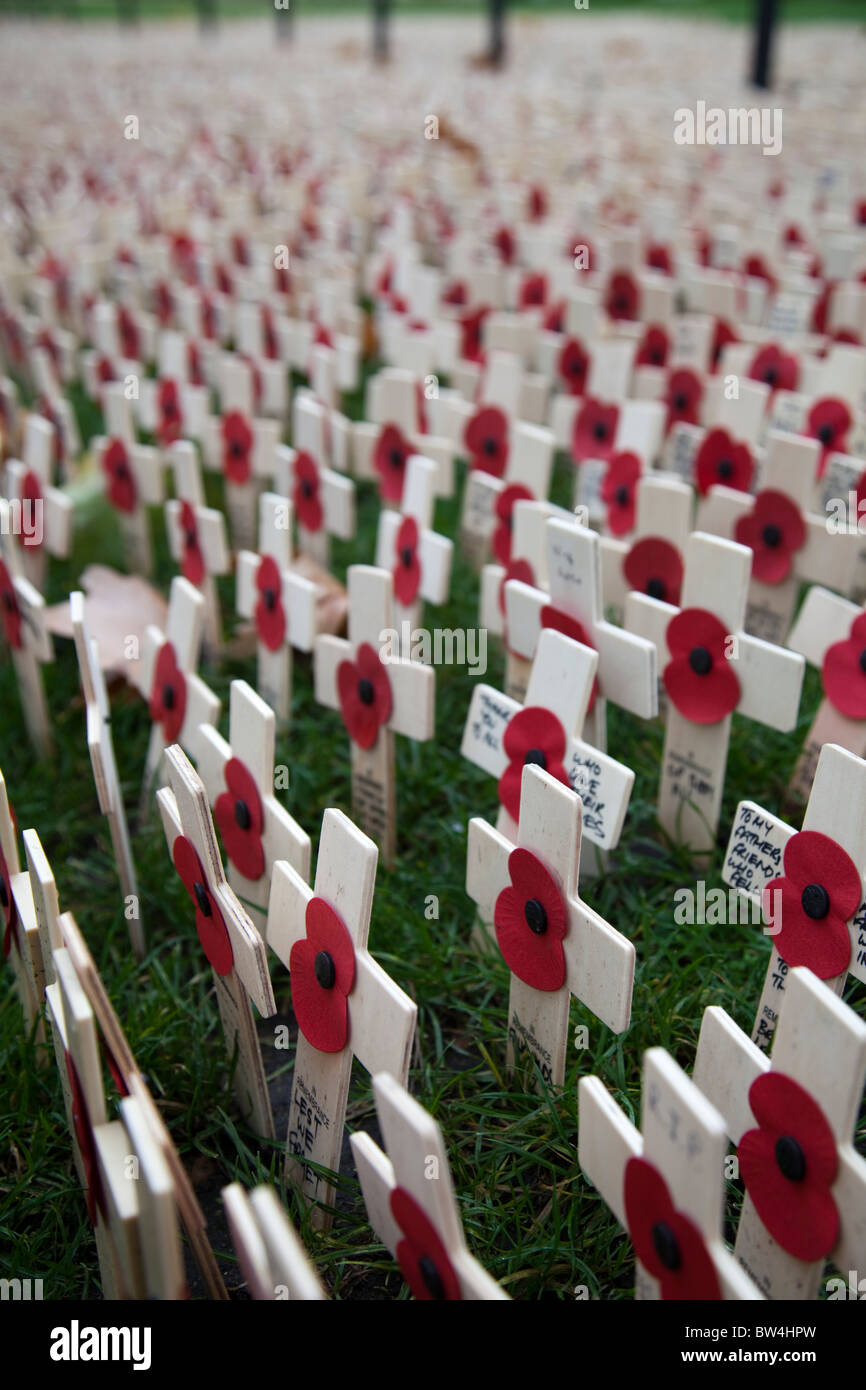 Poppies and crosses, Field of Remembrance, Westminster Abbey, London ...