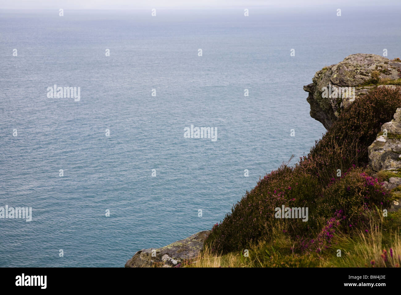 Rocky face on coastal path, devon Stock Photo - Alamy