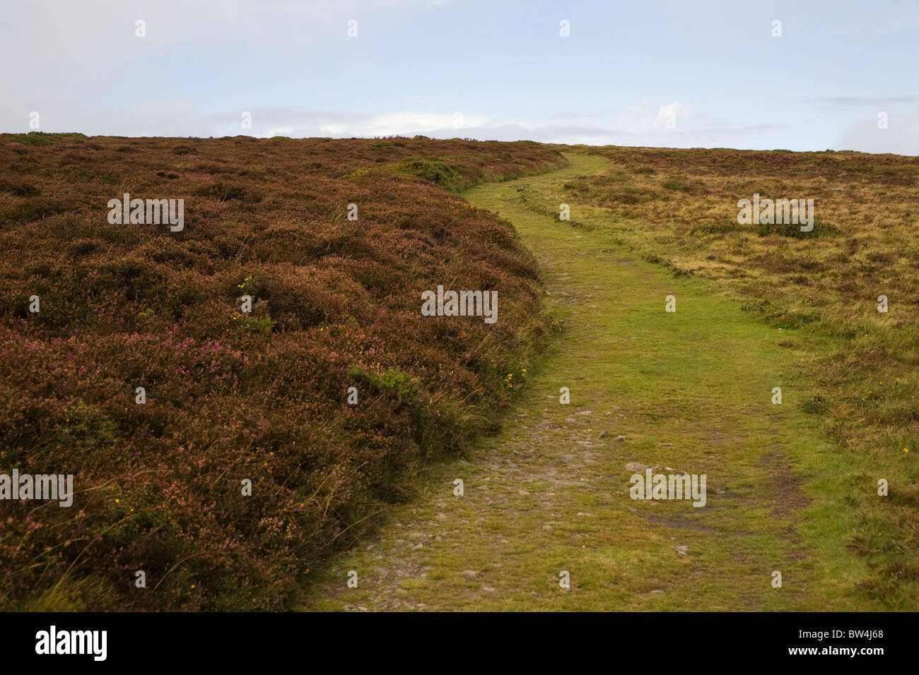 Wiggly path hi-res stock photography and images - Alamy