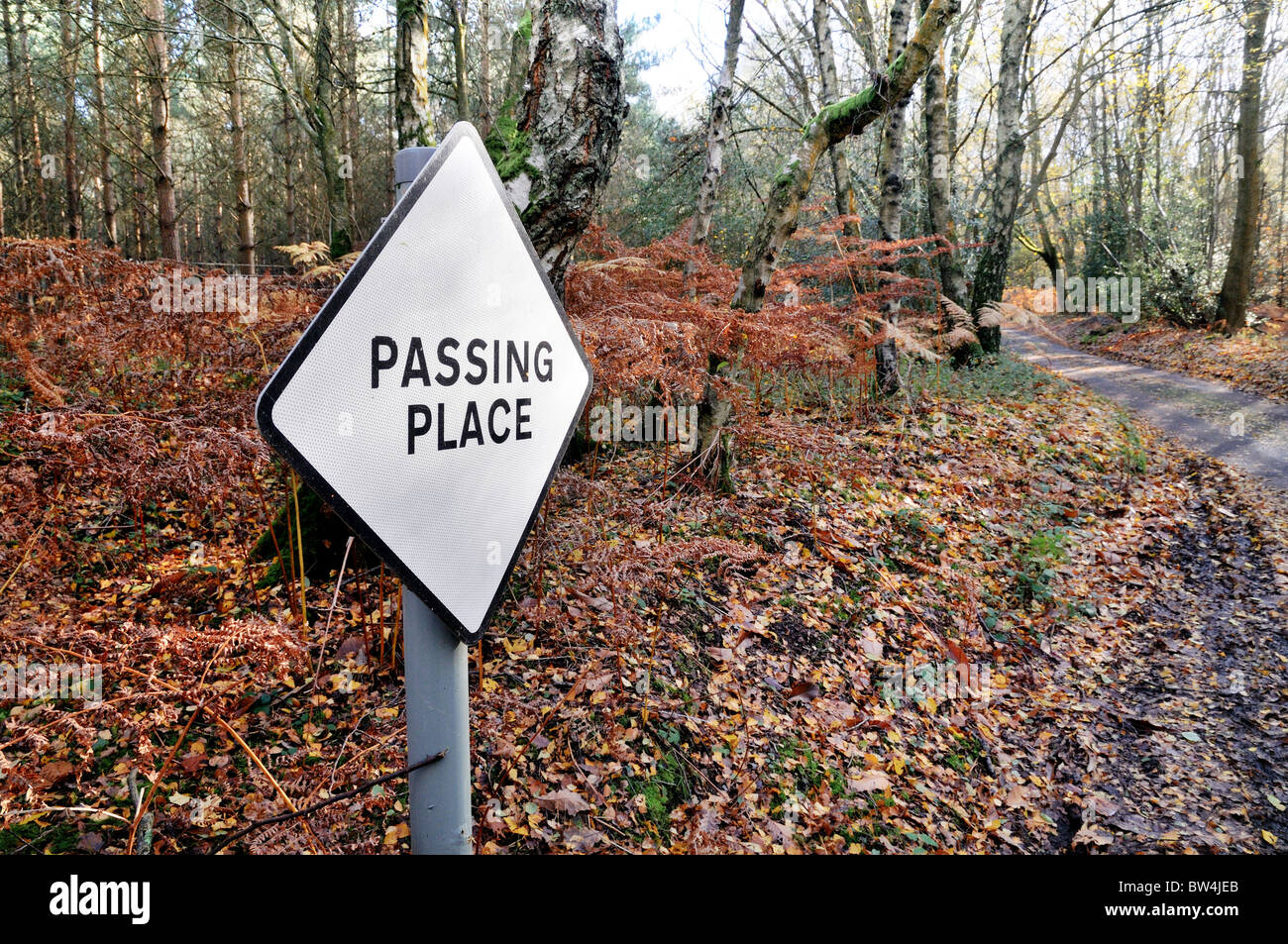 Country Lane With Passing Place High Resolution Stock Photography and ...