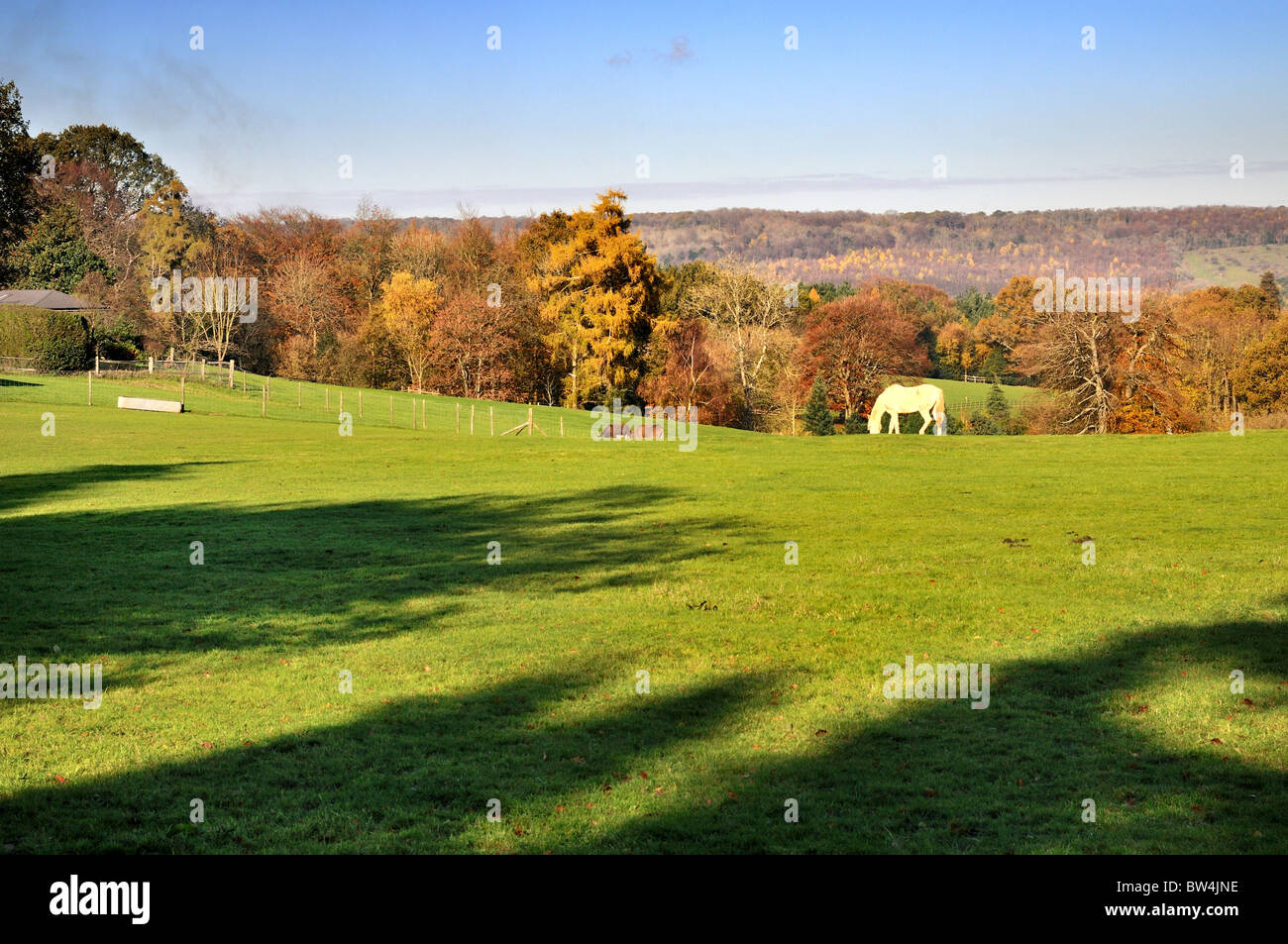 Rural landscape at Abinger Common , Surrey Stock Photo - Alamy