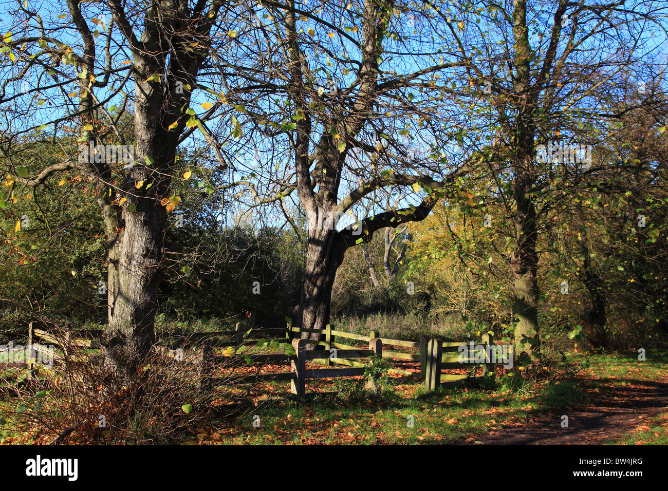 Parkside wimbledon hi-res stock photography and images - Alamy