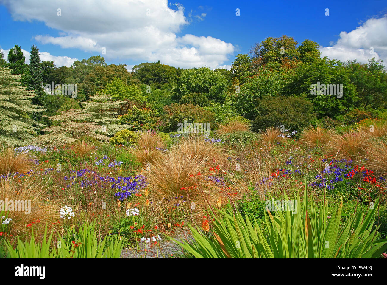 The prairie garden at the Garden House in Buckland Monachorum Devon ...