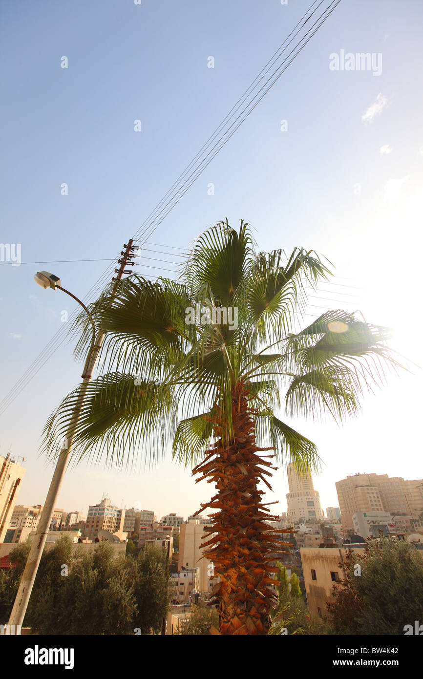 The Al Abdali District Stock Photos & The Al Abdali District Stock ...