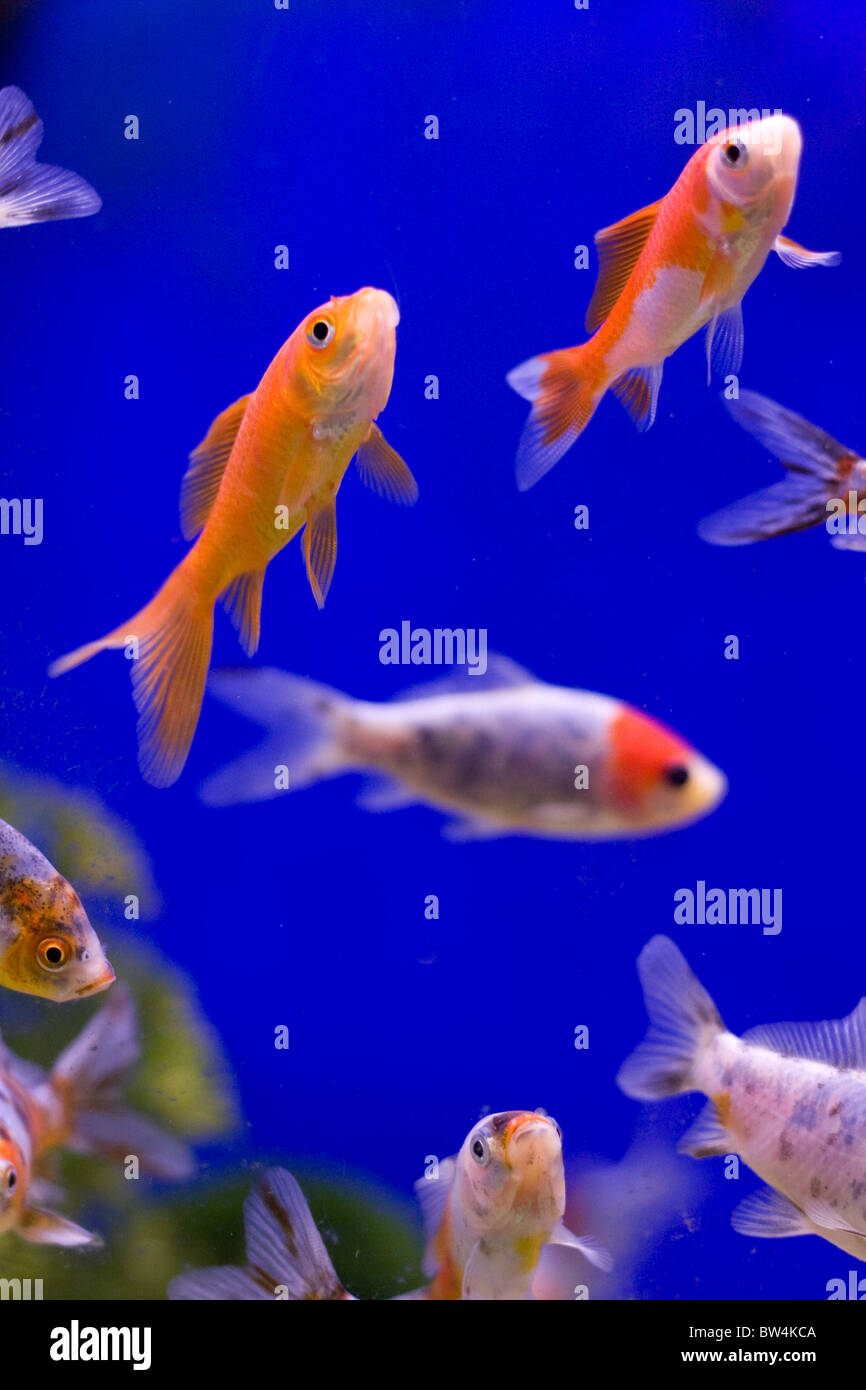 Water tank vertical hi-res stock photography and images - Alamy