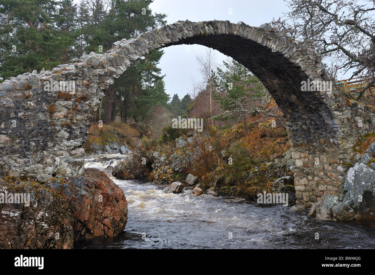 Bridge carrbridge cairngorms hi-res stock photography and images - Alamy