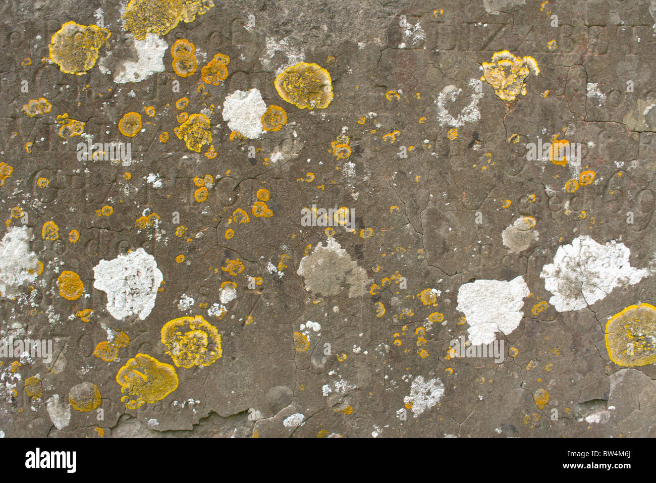 gravestones lit by the sun in a country cemetery Stock Photo - Alamy
