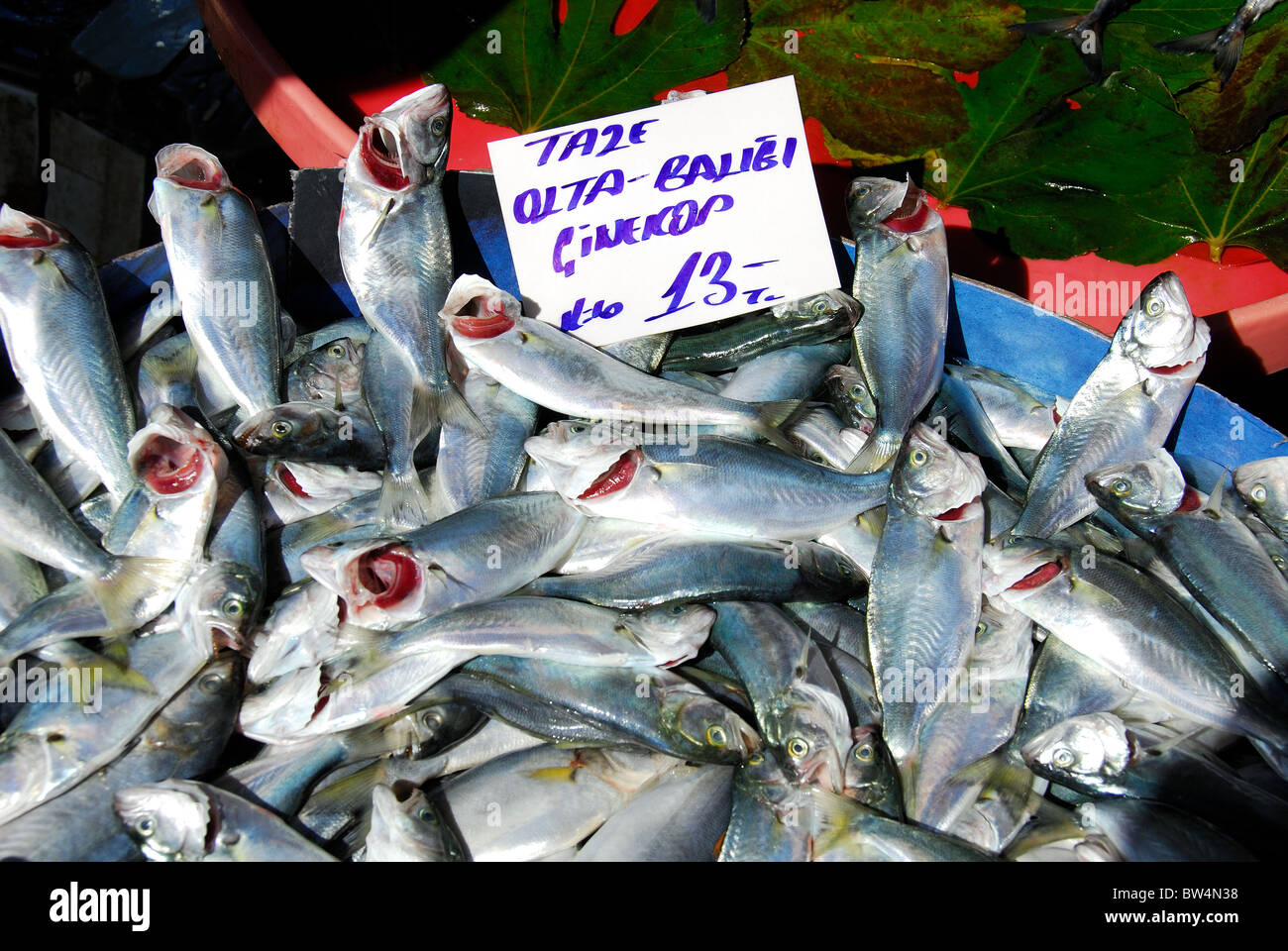 Istanbul fish market hi-res stock photography and images - Alamy