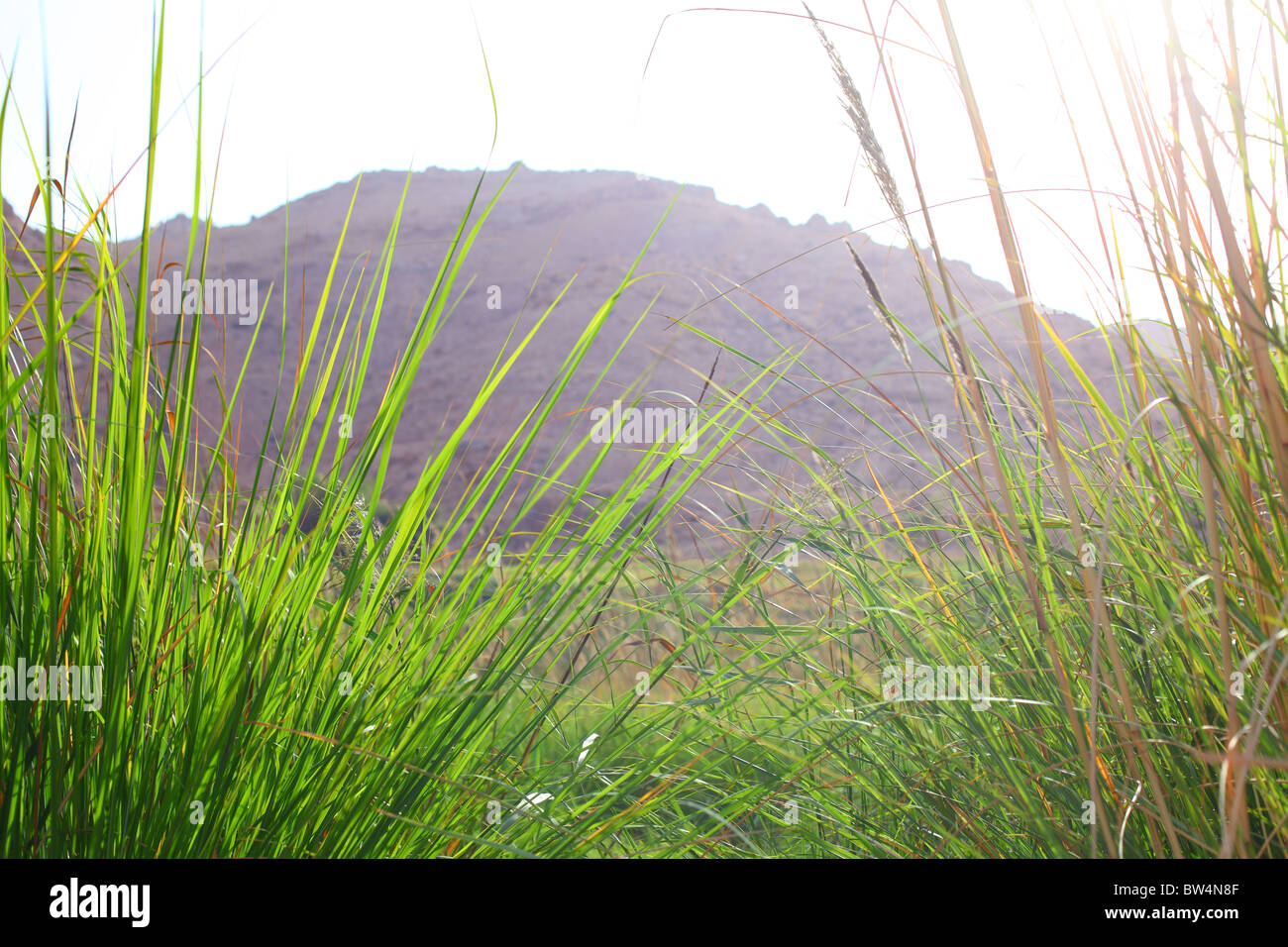 Jordan, nature landscape of mountains, near Wadi Afra Stock Photo - Alamy