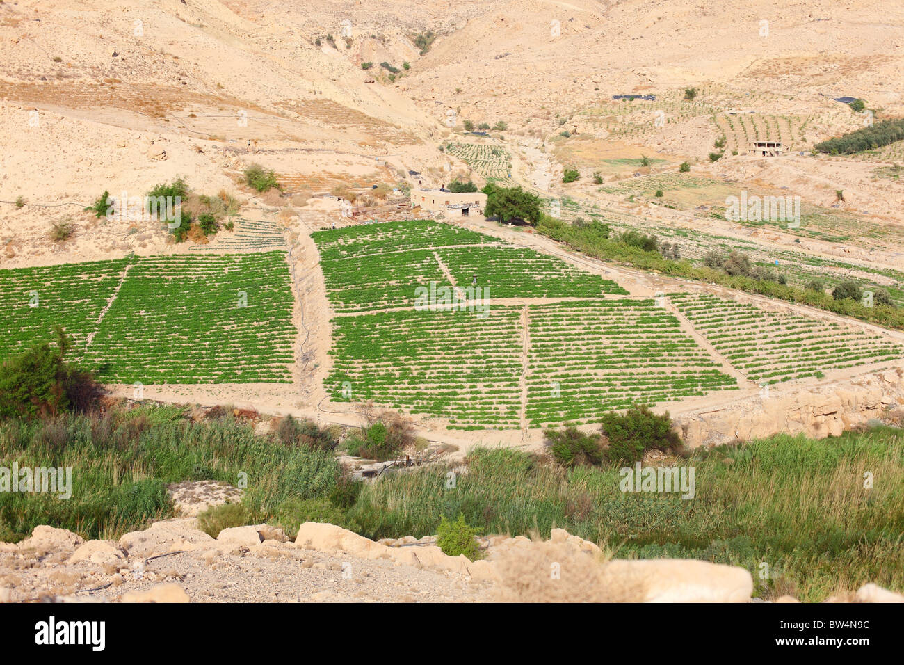 Jordan, nature landscape of mountains, irrigation system near Wadi Afra ...
