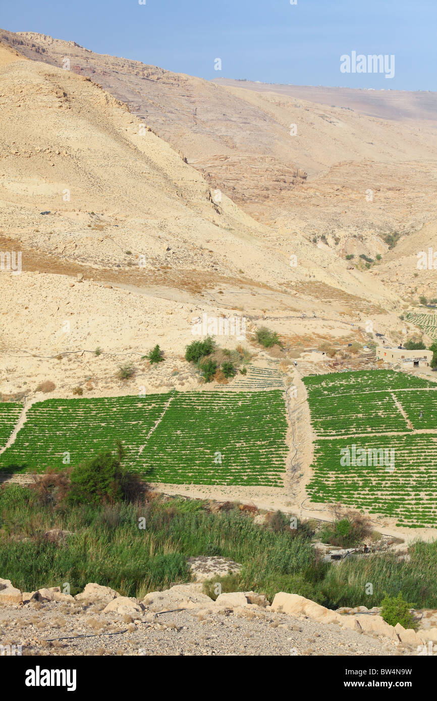 Jordan, nature landscape of mountains, irrigation system near Wadi Afra ...