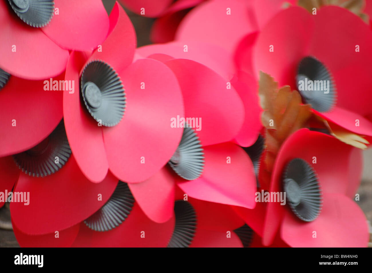 Remembrance day red poppies wreath hi-res stock photography and images ...