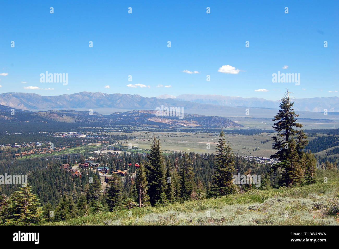 landscape view of mammoth Stock Photo - Alamy