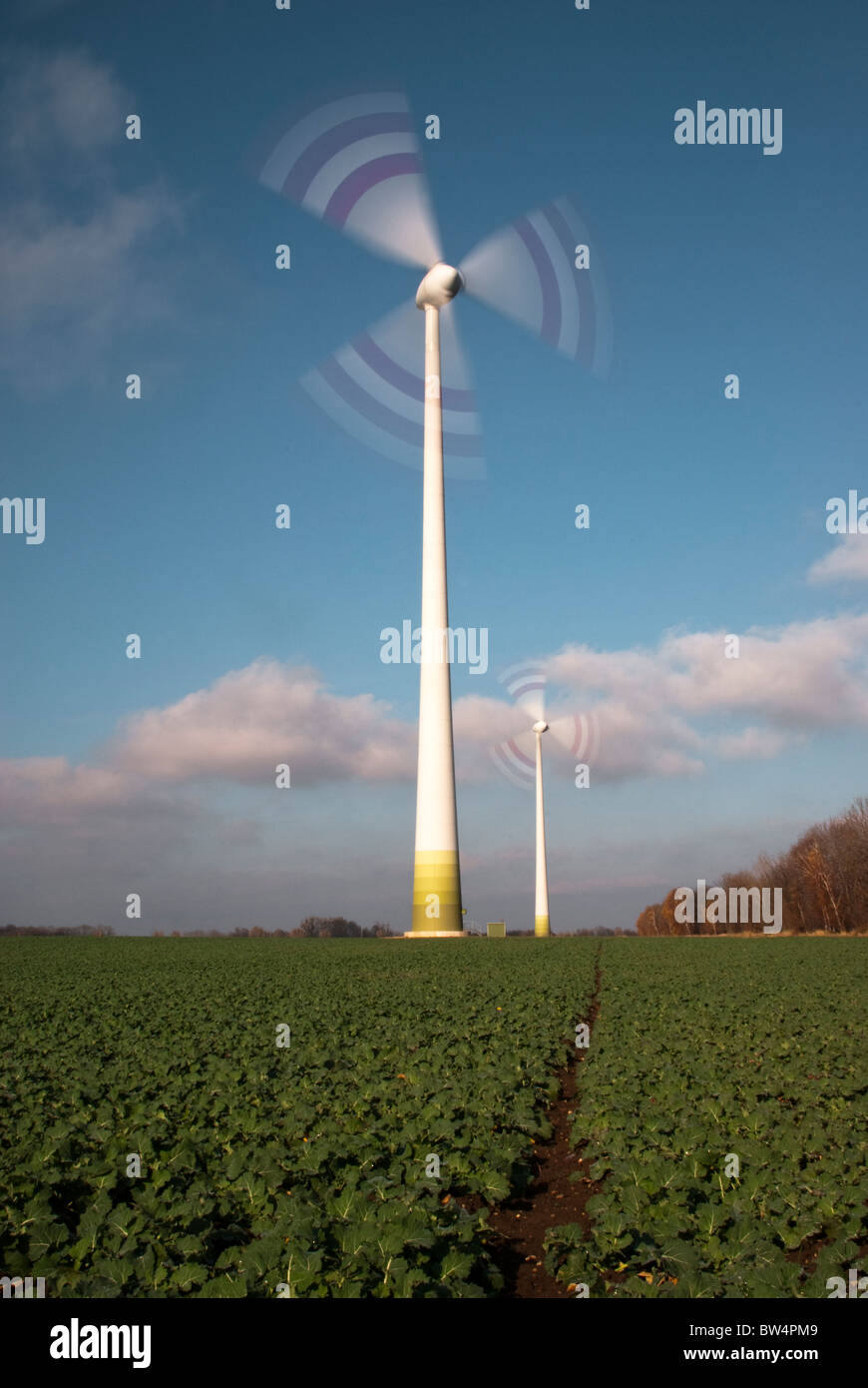 Probably our future 2 Stock Photo - Alamy