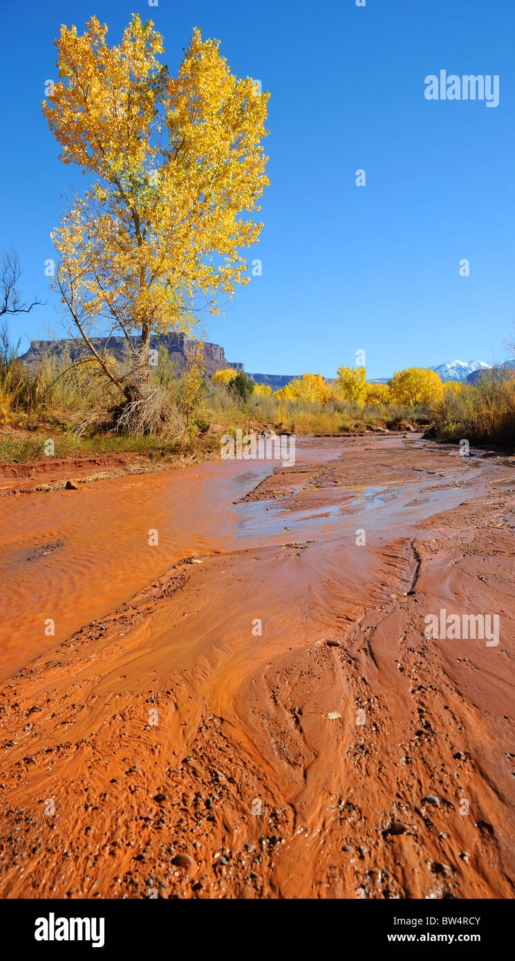 Desert Stream in Fall with Snowy Mountains Stock Photo - Alamy