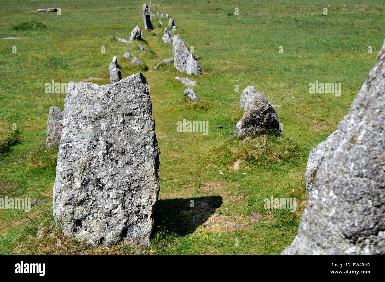dartmoor merrivale ancient stone rows and paths Stock Photo - Alamy