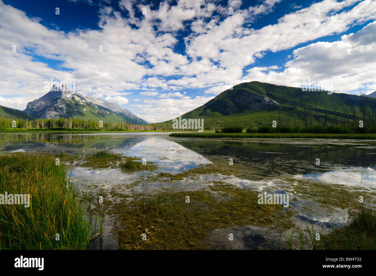 Mt Rundle from Vermilion Lakes, Banff National Park Stock Photo - Alamy