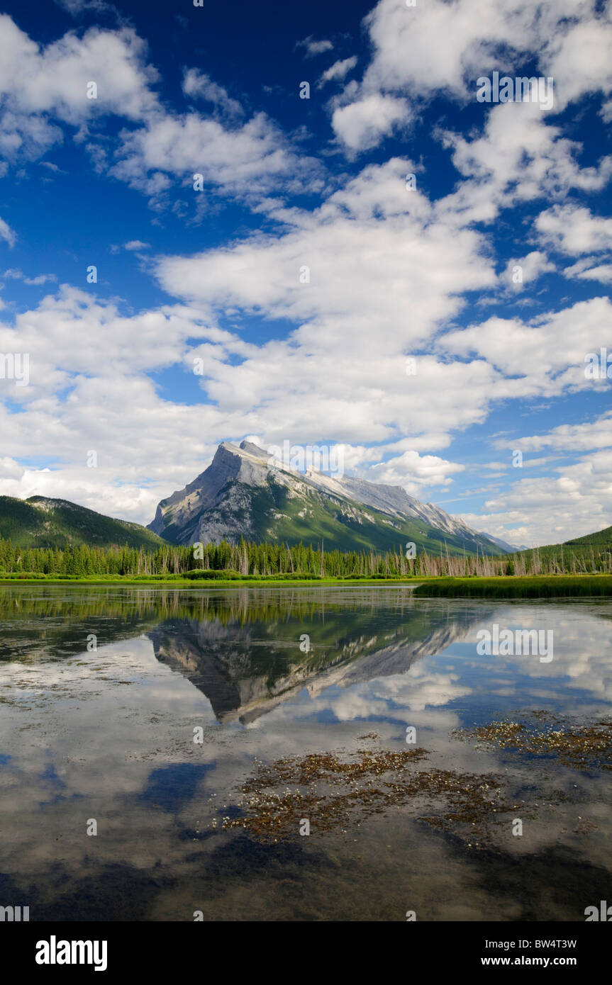 Mt Rundle from Vermilion Lakes, Banff National Park Stock Photo - Alamy
