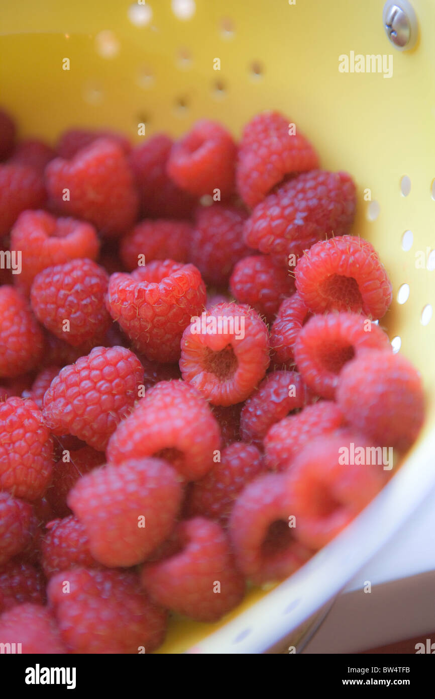 Popular raspberries hi-res stock photography and images - Alamy